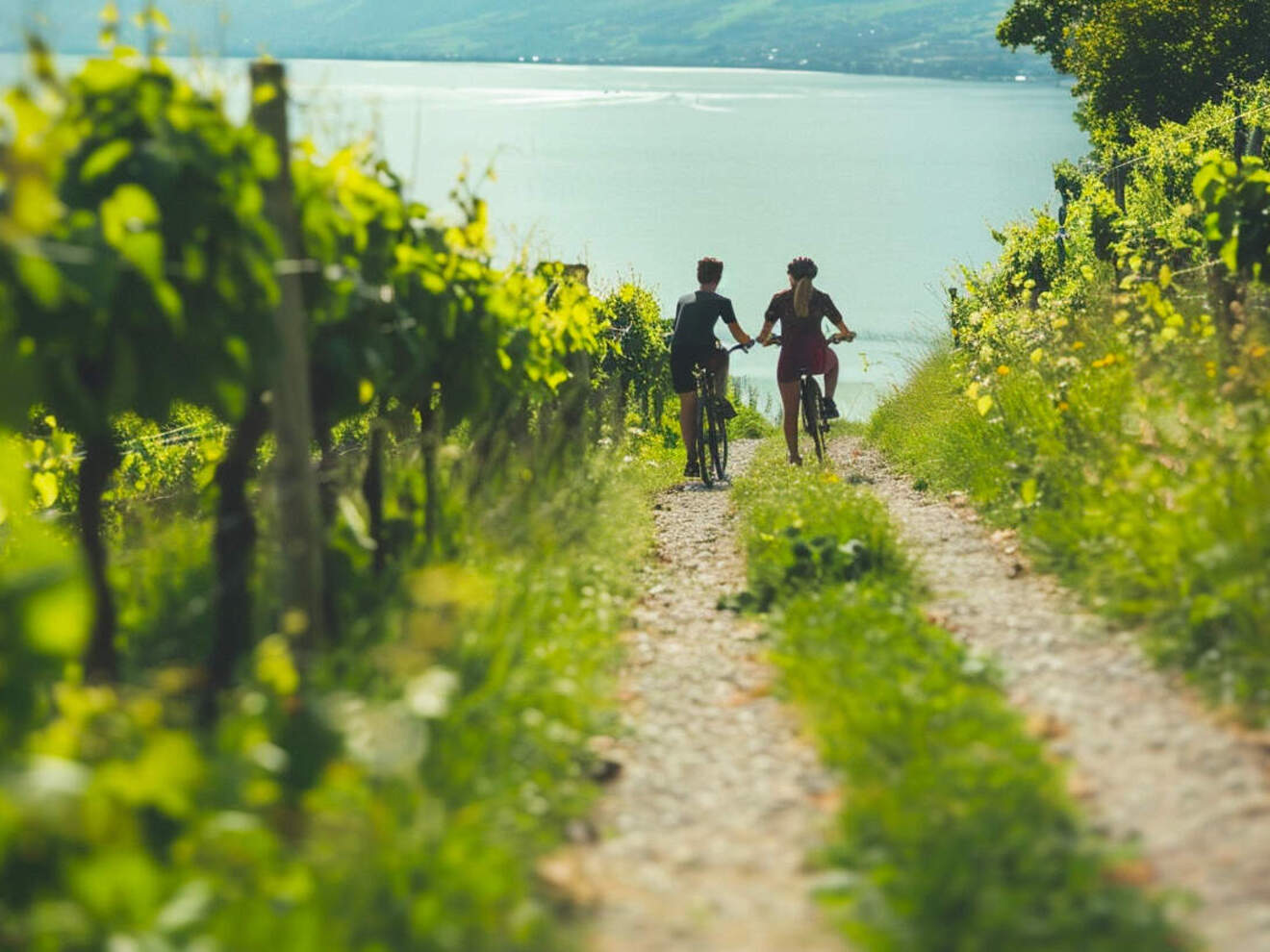 Geneva's Best Outdoor Activities | Geneva Tourism