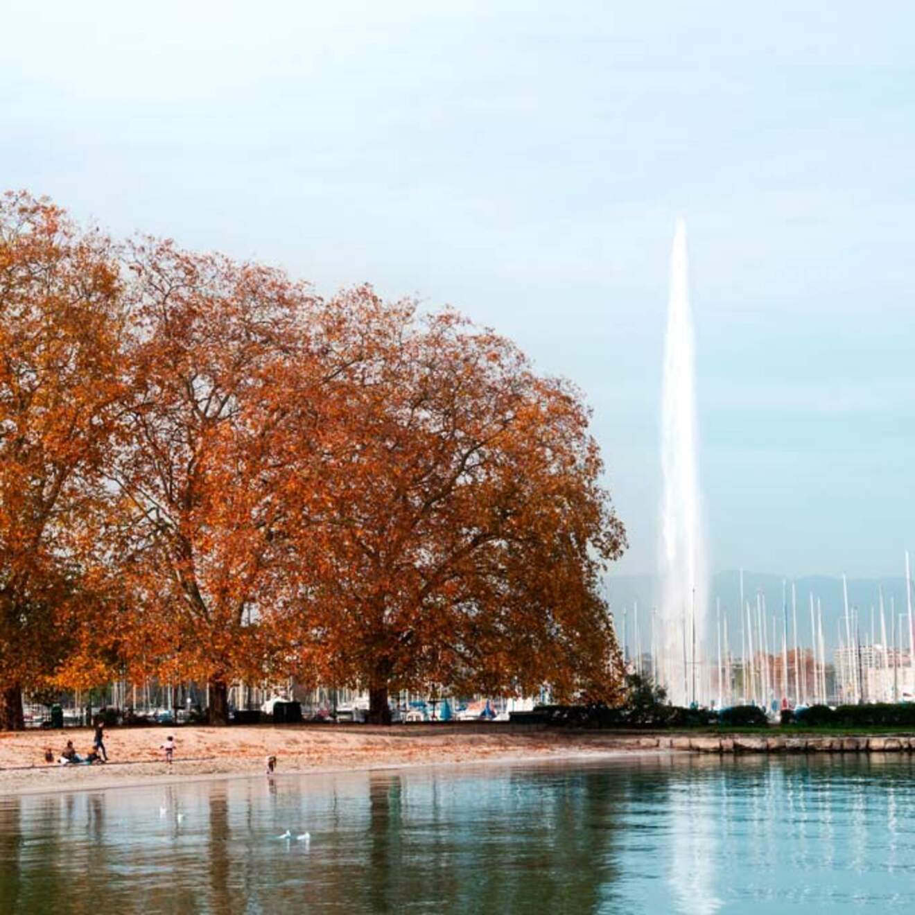 Geneva in Autumn: Best Things to Do | Geneva Tourism