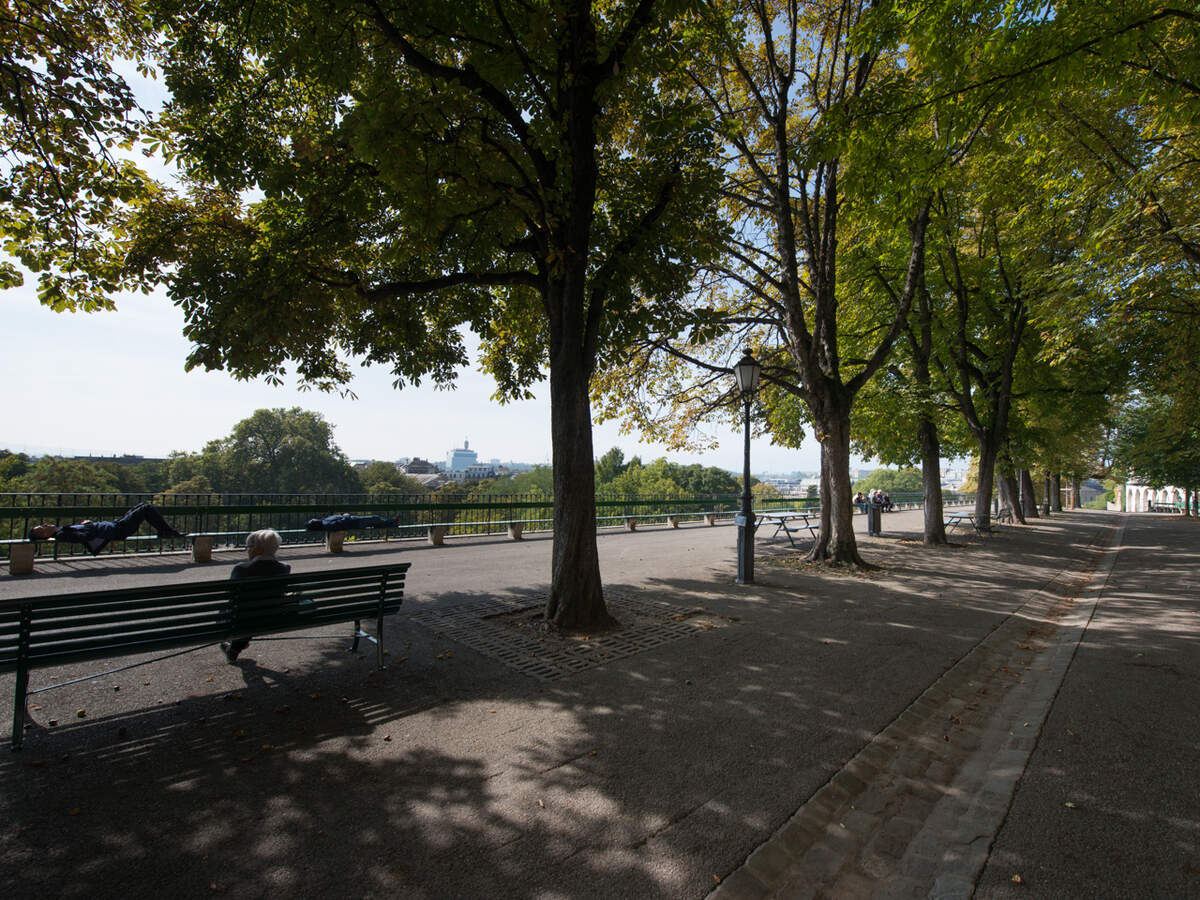 Bench and Treille Promontory | Geneva Tourism