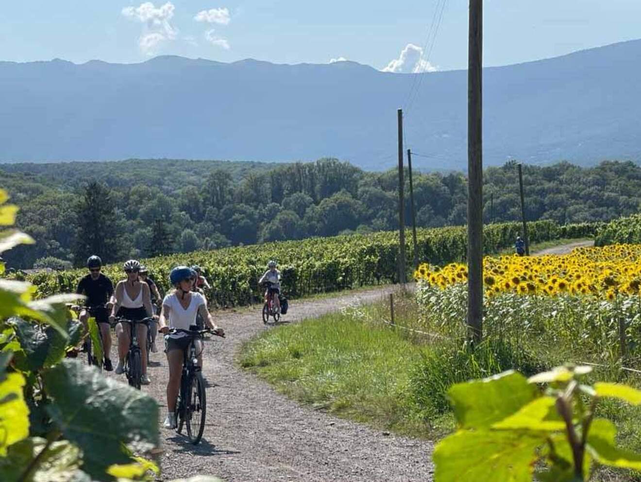 Rhone route | Geneva Tourism