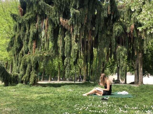 Geneva Parks and Gardens: Serene Escapes in the City | Geneva Tourism