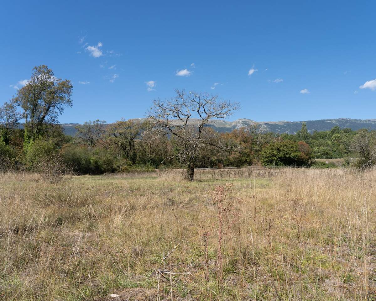 Rive droite | Geneva Tourism