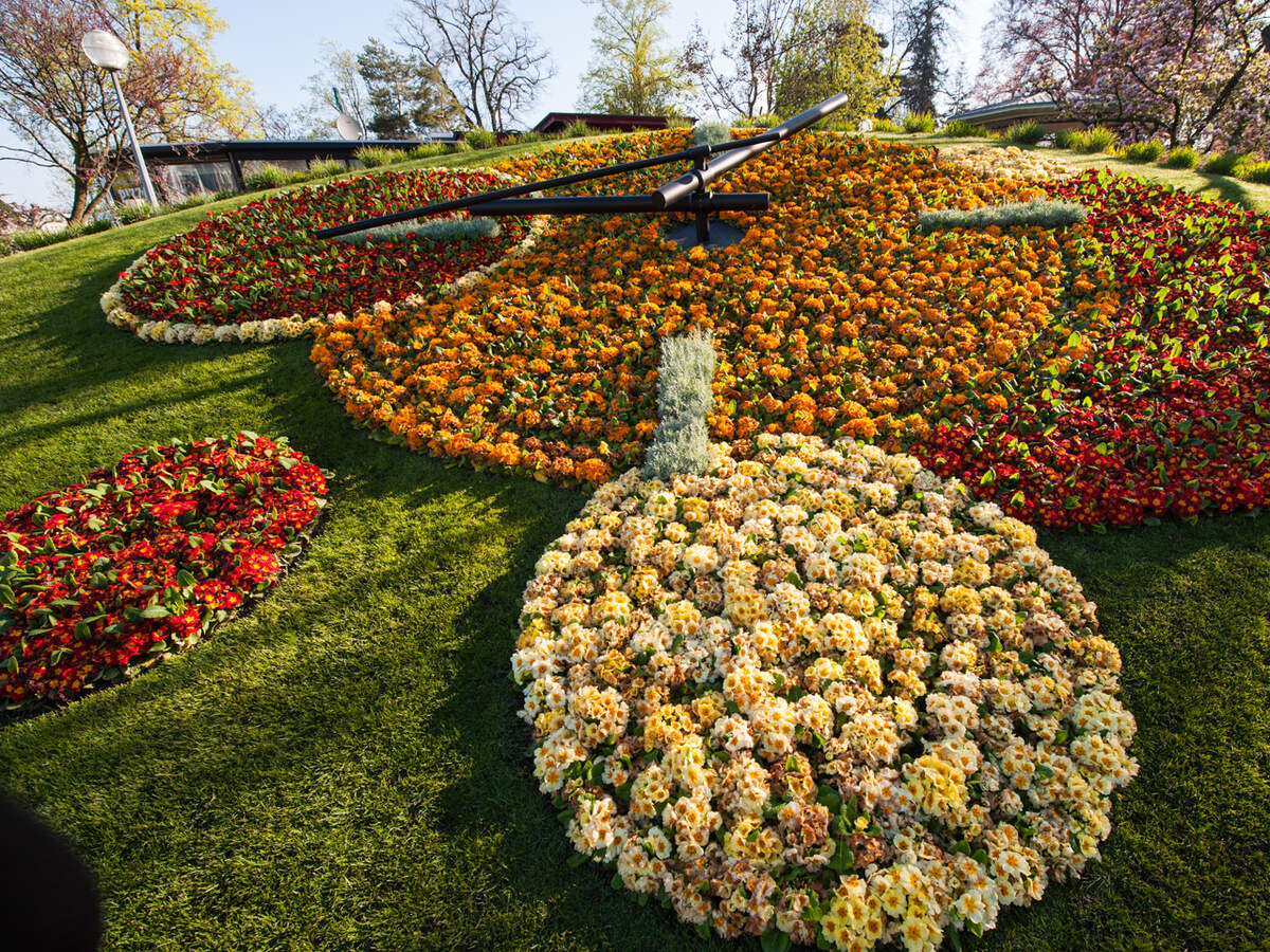 A Botanical Timekeeper - The Flower Clock | Geneva Tourism