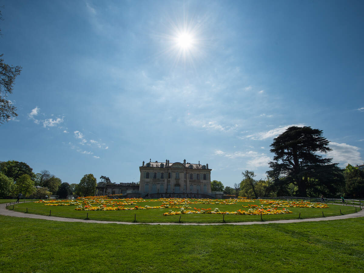 La Grange Park - so Green in my City! | Geneva Tourism