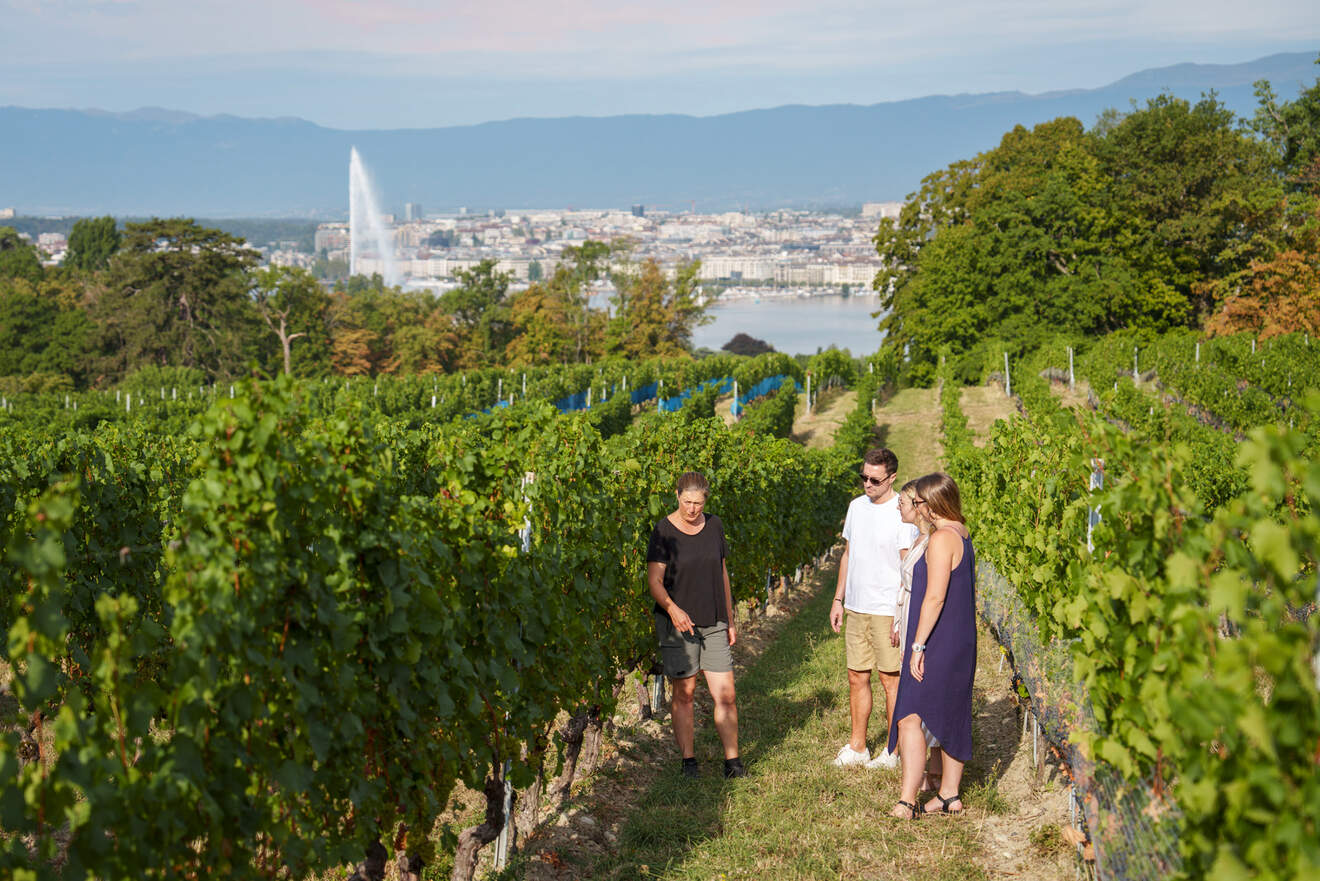 Geneva's Best Outdoor Activities | Geneva Tourism