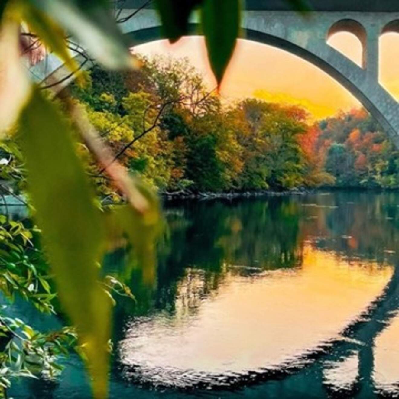 The most beautiful autumn photo spots in geneva | Geneva Tourism