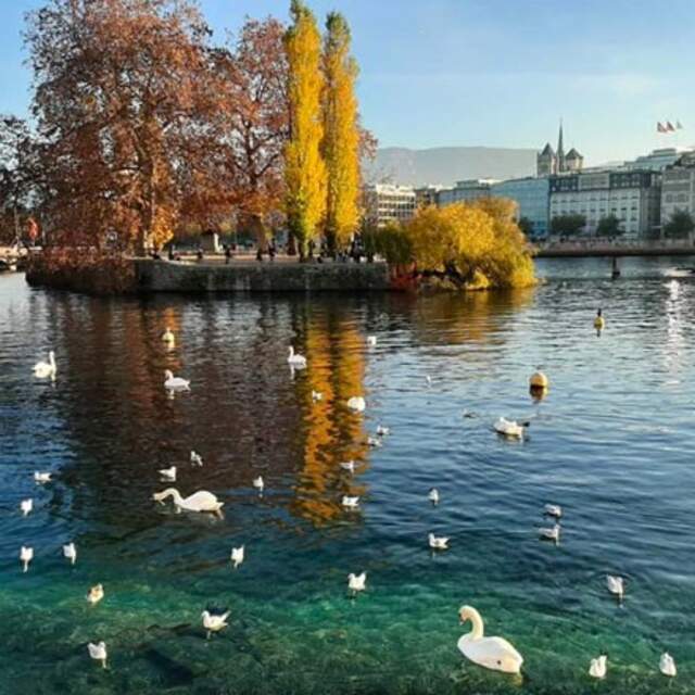 The most beautiful autumn photo spots in geneva | Geneva Tourism