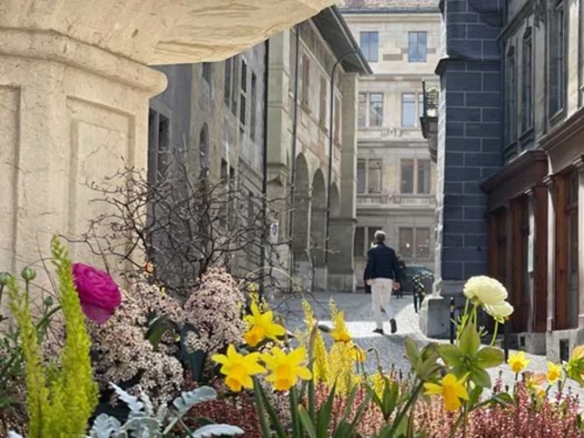 Geneva in Spring: Top Activities & Sights | Geneva Tourism