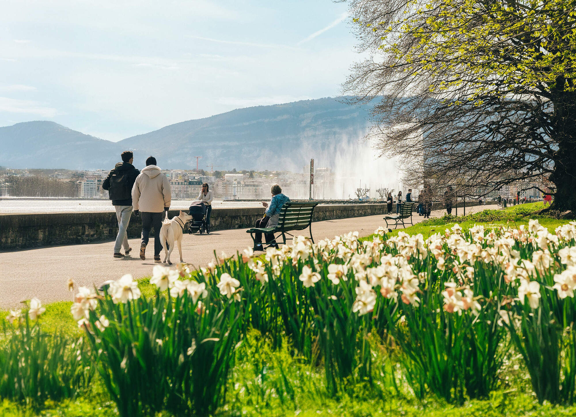 Geneva in Spring: Top Activities & Sights | Geneva Tourism