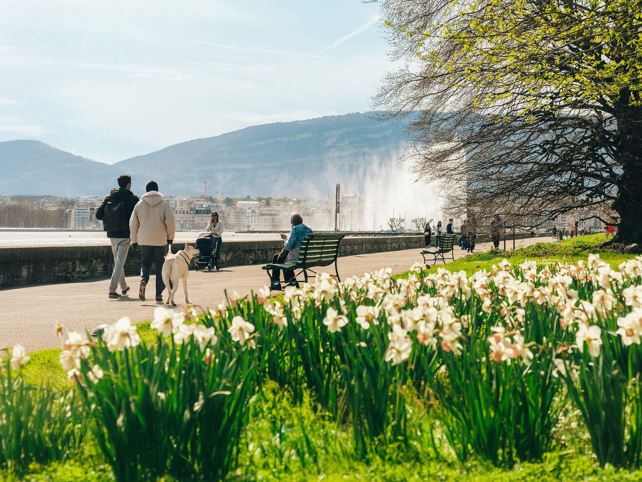 Genf im Lauf der Jahreszeiten | Geneva Tourism