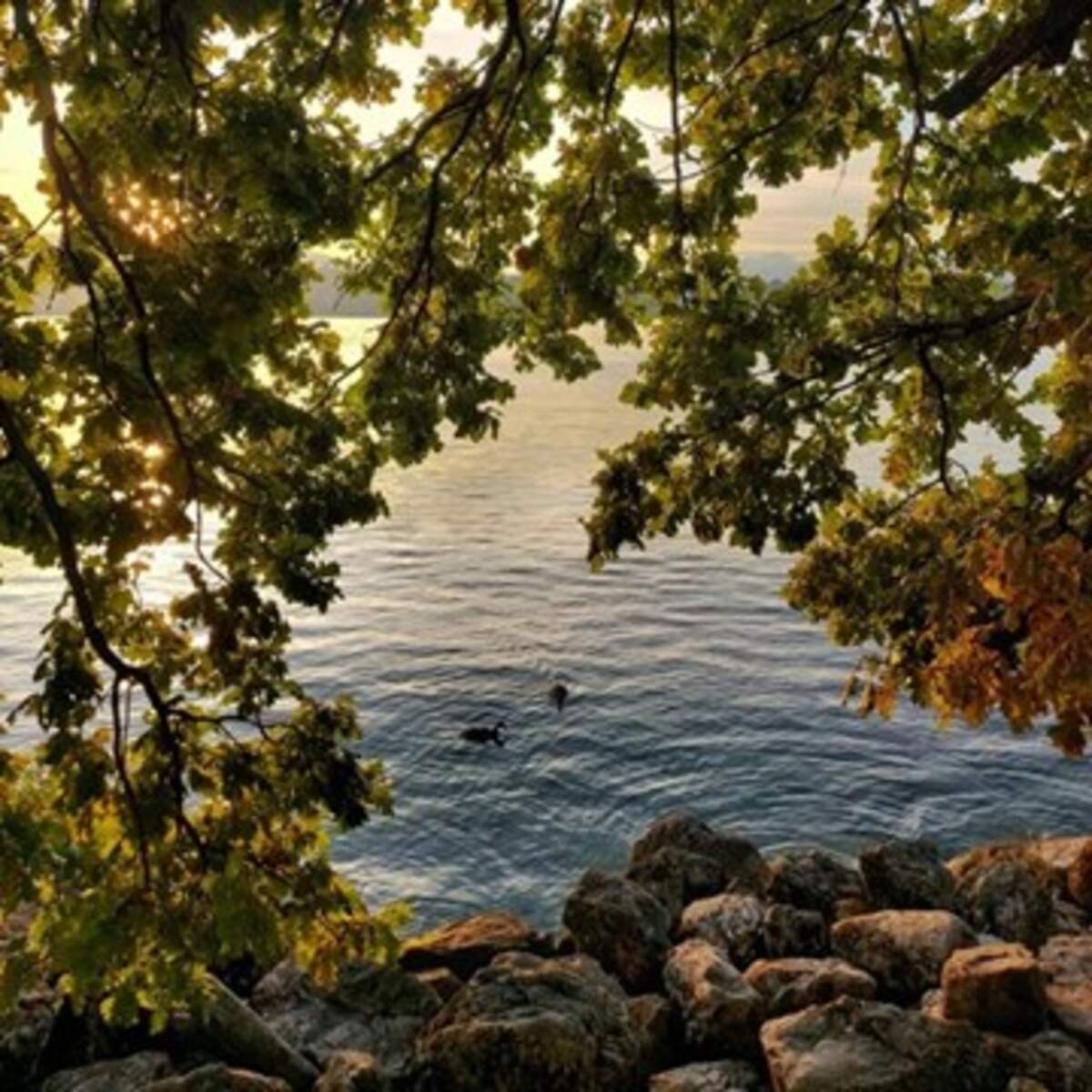 The most beautiful autumn photo spots in geneva | Geneva Tourism