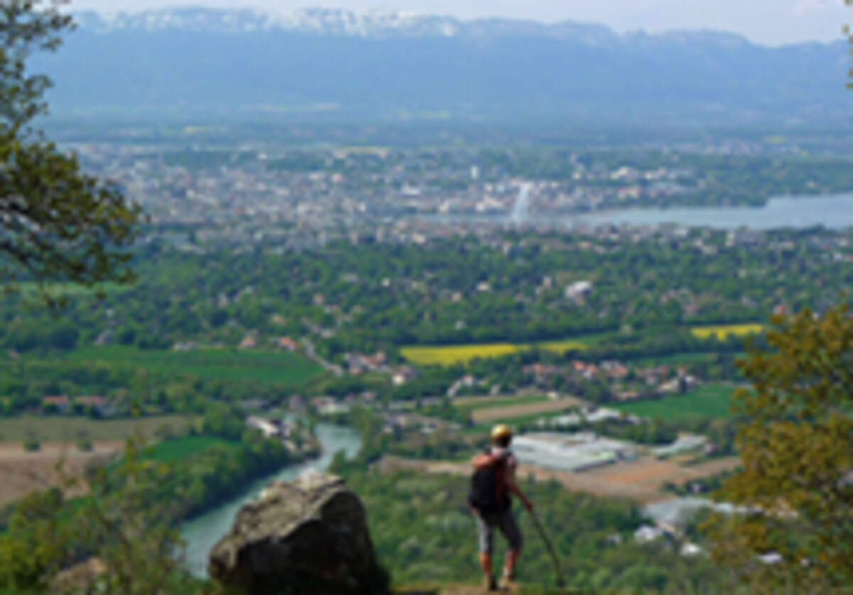 Randonnée pédestre gratuite au Mont-Salève | Genève Tourisme
