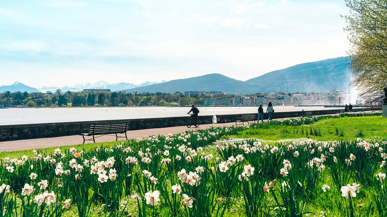 Geneva in Bloom: Experience the City's Springtime Splendor | Geneva Tourism