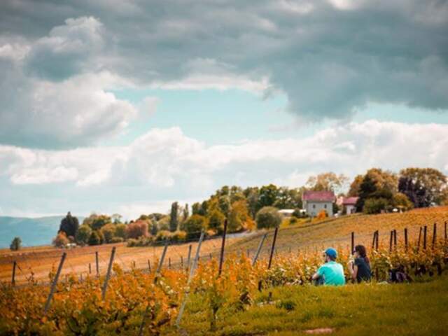 Geneva in Autumn: Best Things to Do | Geneva Tourism