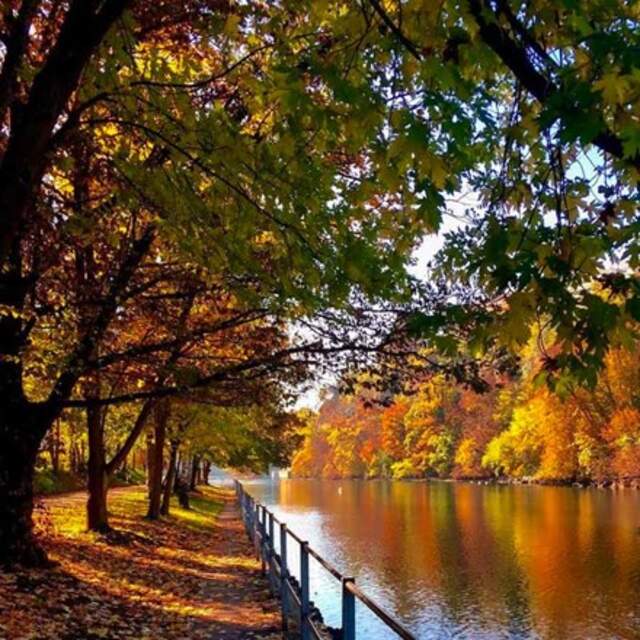 The most beautiful autumn photo spots in geneva | Geneva Tourism