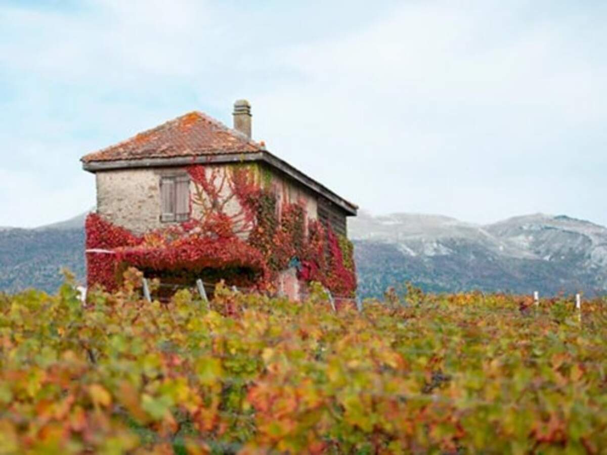 Rive droite | Geneva Tourism