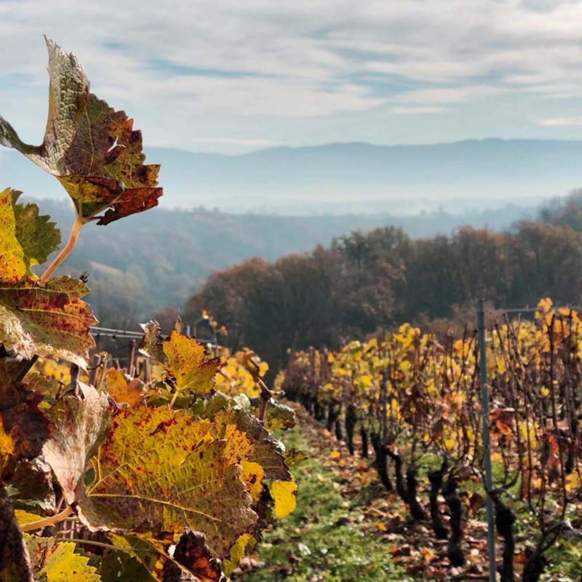 The most beautiful autumn photo spots in geneva | Geneva Tourism