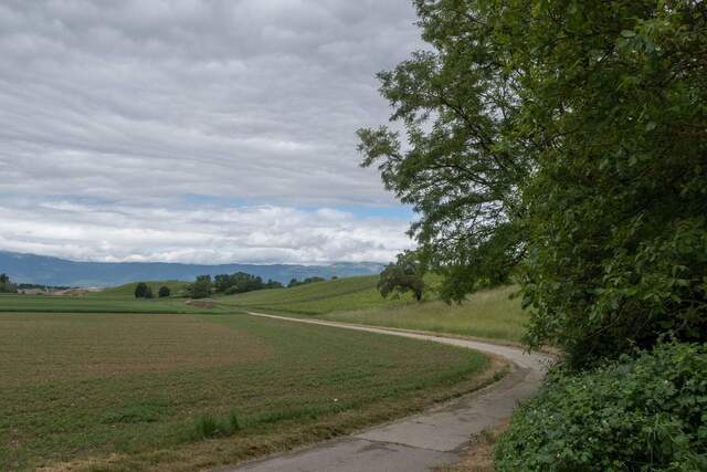 Geneva Hiking Trails: Scenic Routes and Majestic Mountains | Geneva Tourism