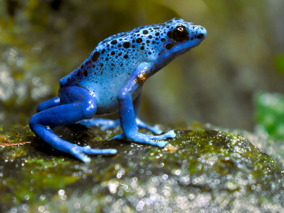 Vivarium de Meyrin | Geneva Tourism