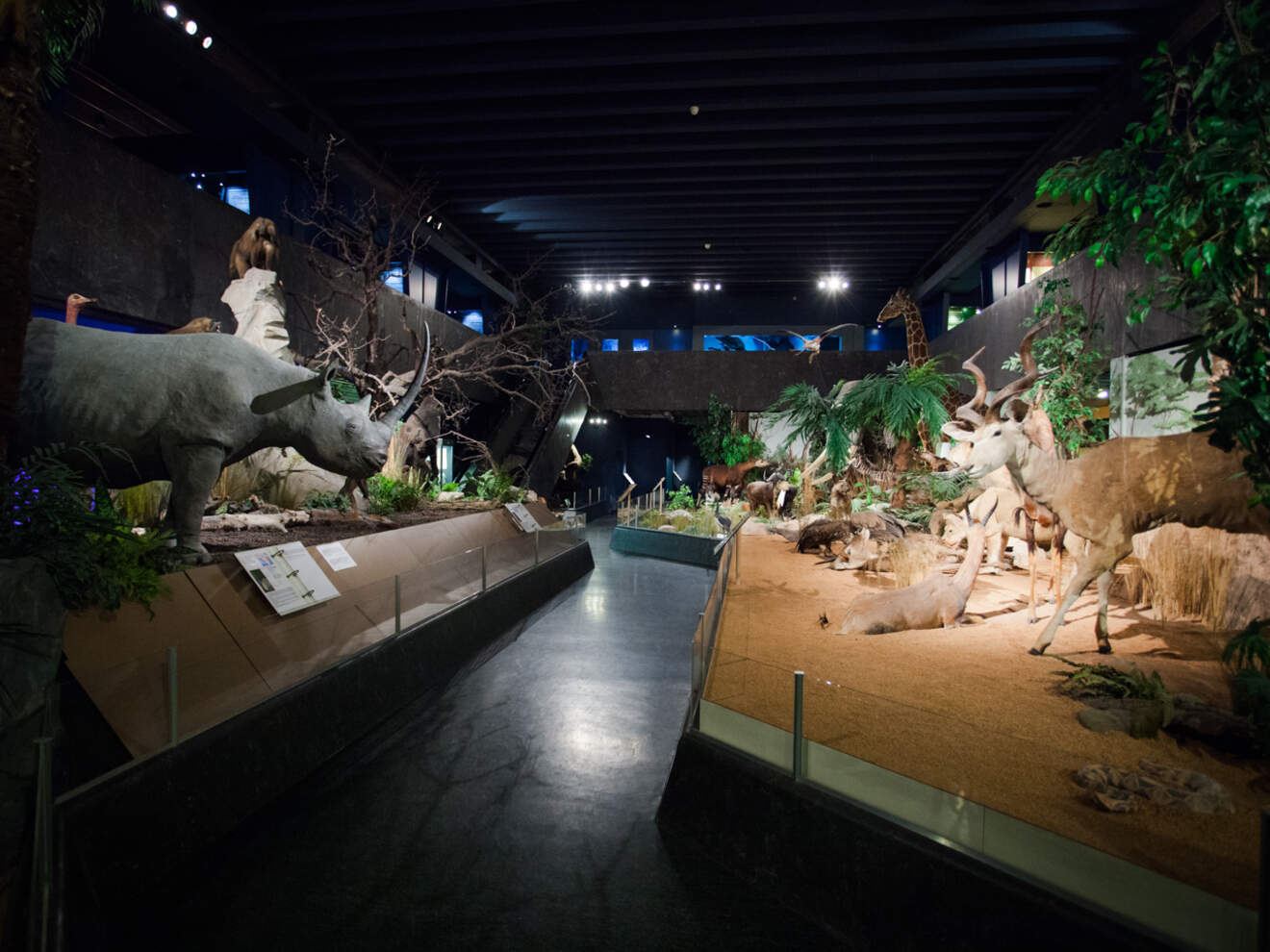 Geneva's Science, Nature & Specialized Museums: Discover Diversity ...