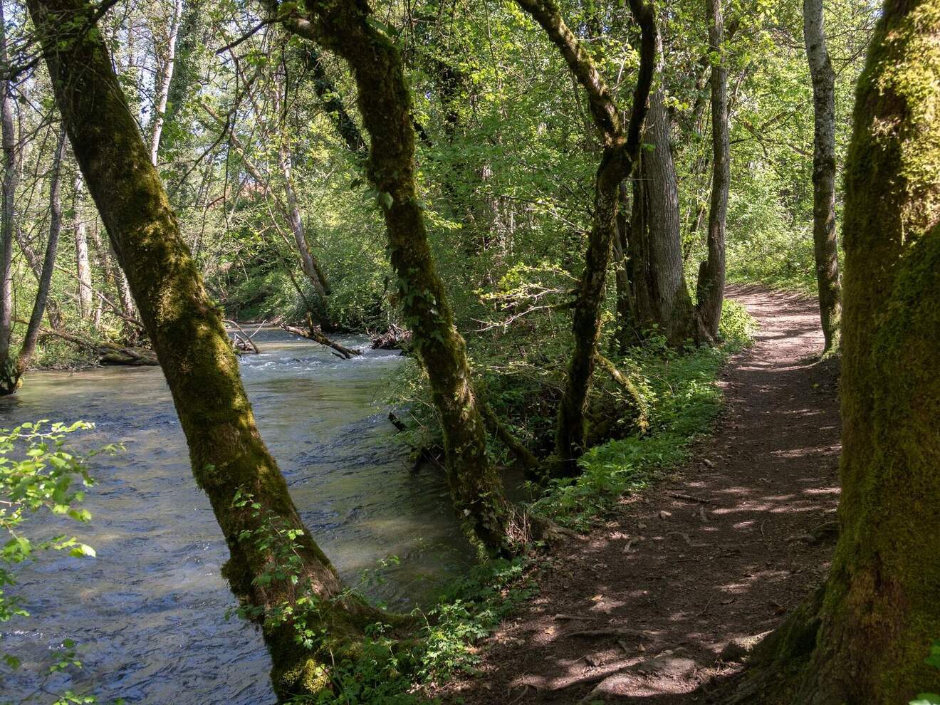 Geneva Hiking Trails: Scenic Routes and Majestic Mountains | Geneva Tourism