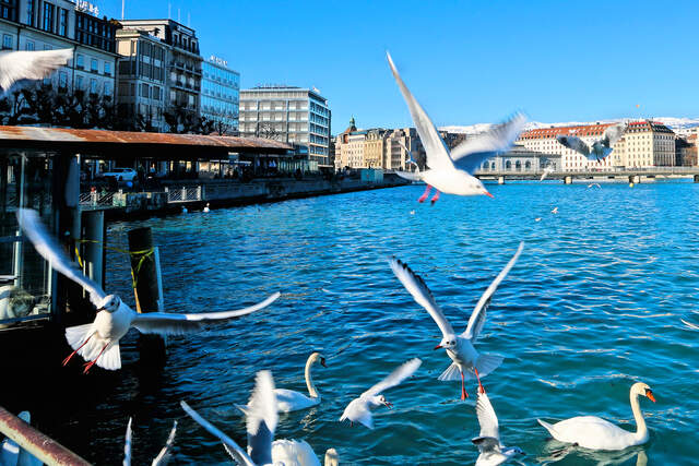 Praktisches zu Ihrem Aufenthalt in Genf | Geneva Tourism