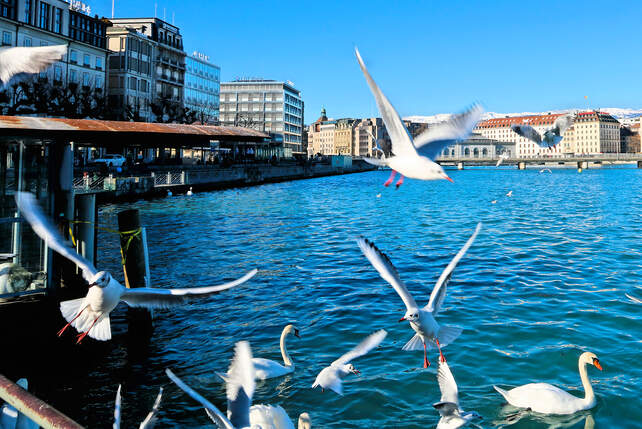 Currency & language | Geneva Tourism