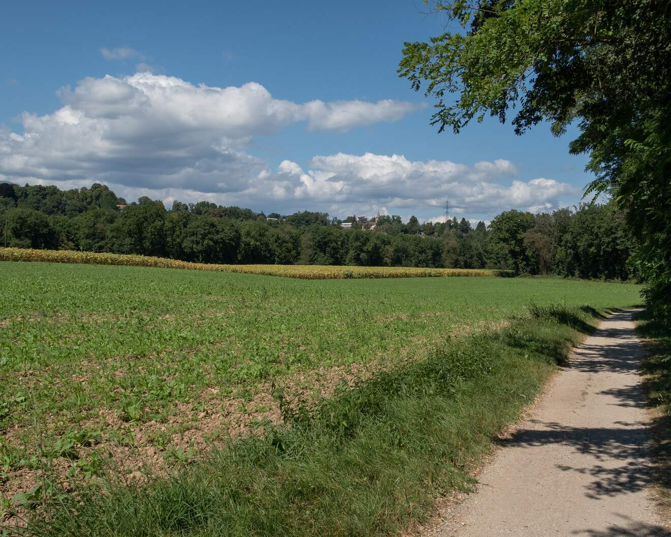 Sentier du Rhône | Geneva Tourism