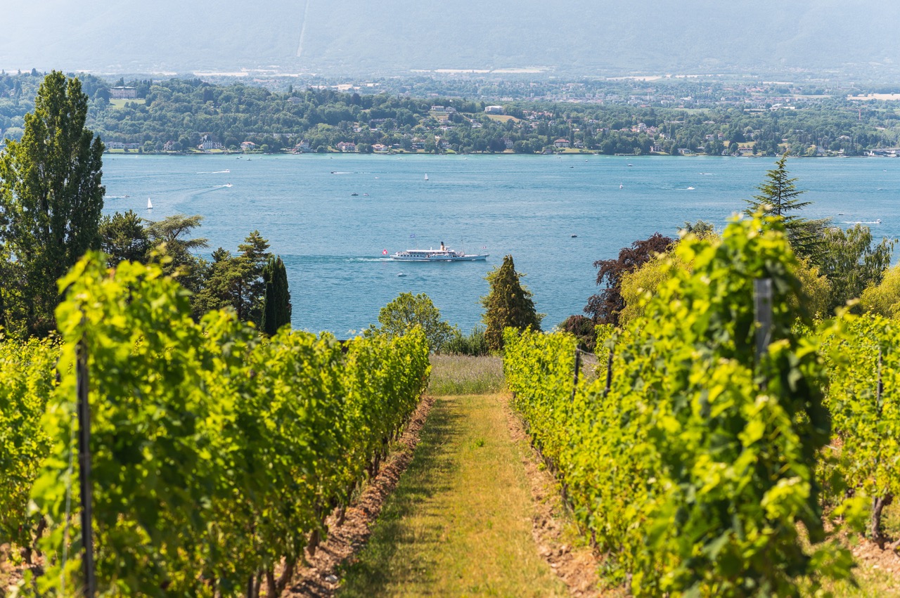 Tour du Léman | Geneva Tourism